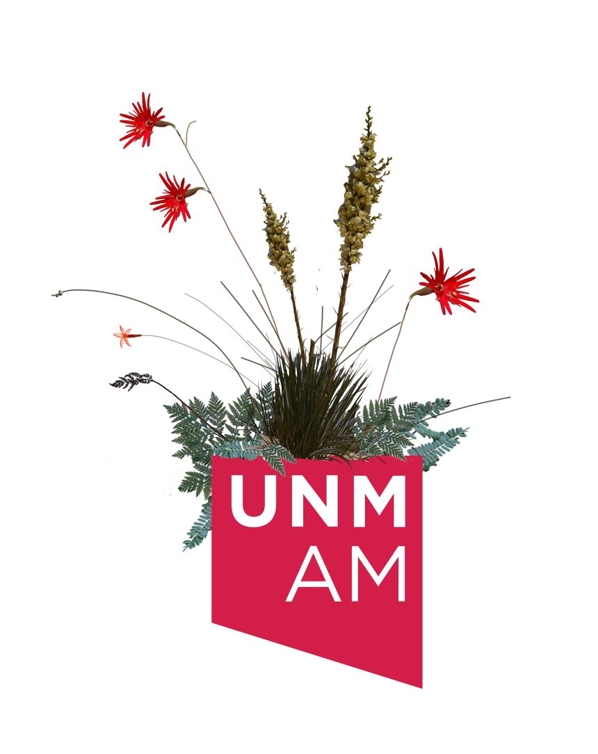 UNMAM Launches Merchandising Project for Student Funding – UNM Art Museum