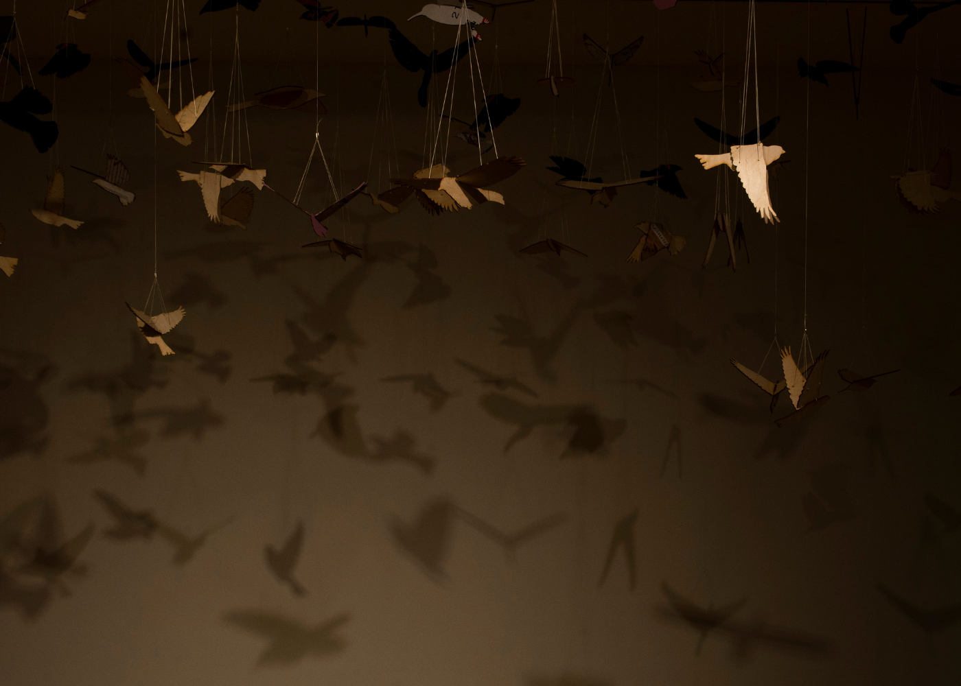 UNM Art Museum – The University of New Mexico | College of Fine Arts